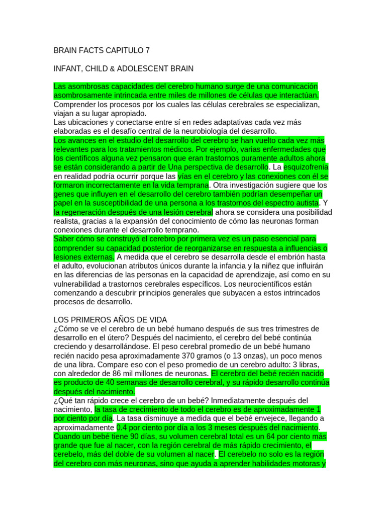 Traducción Brain Facts Cap7 | PDF | Cerebro | Neuroplasticidad