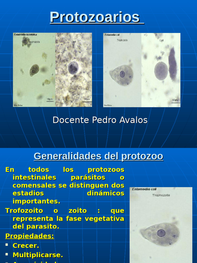 Características y Fisiología de Protozoarios | PDF | Diarrea | Biología
