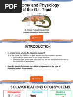 Rat Digestive System Overview | PDF | Stomach | Human Digestive System
