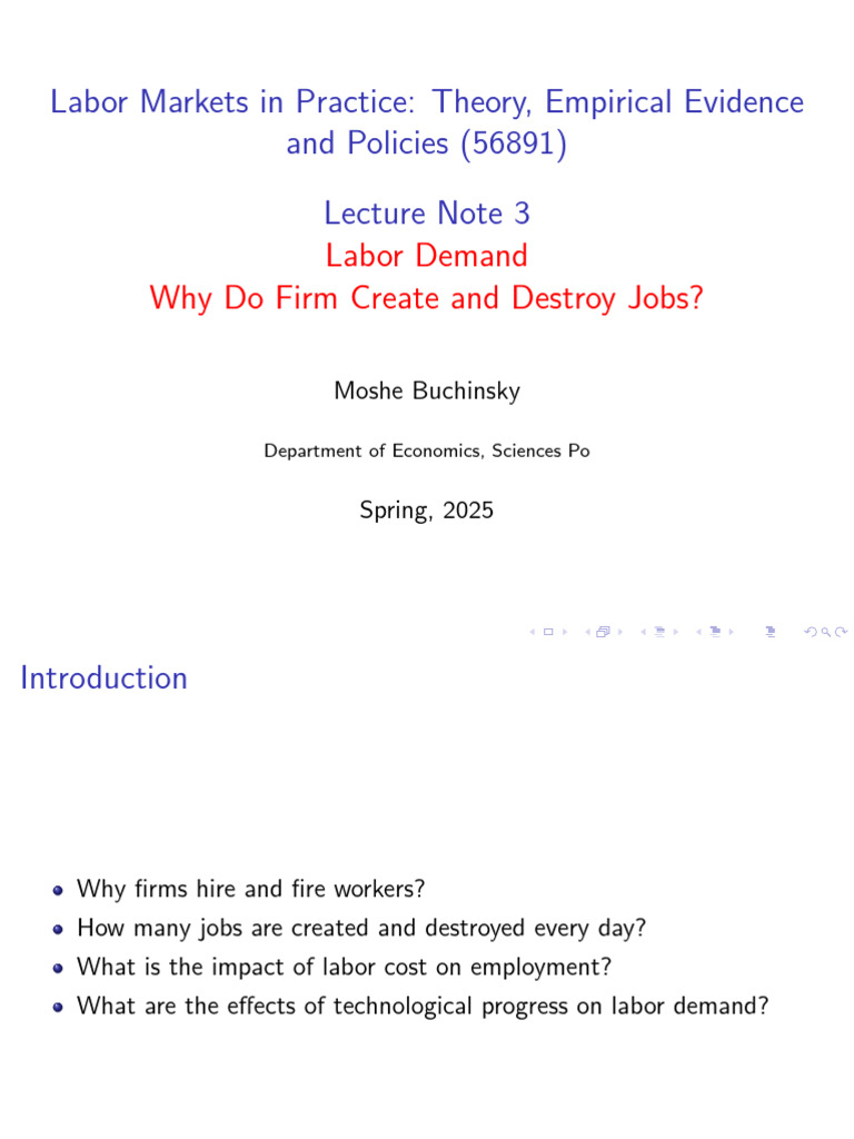 Labor Market Lecture-03 | PDF
