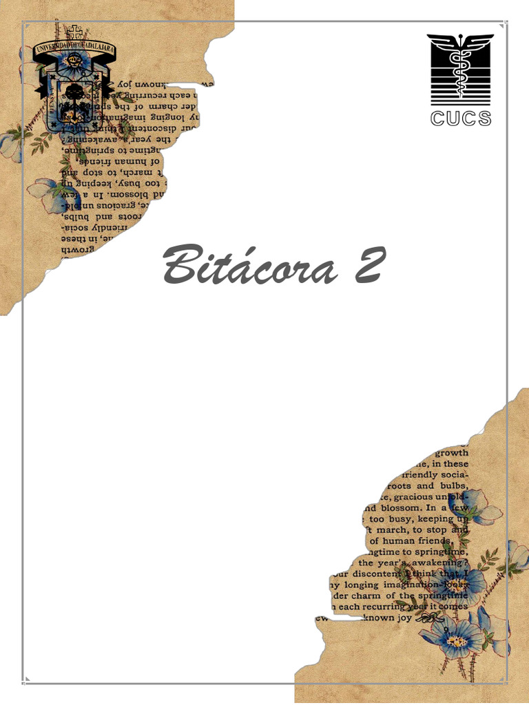 Bitacora 2 VB | PDF