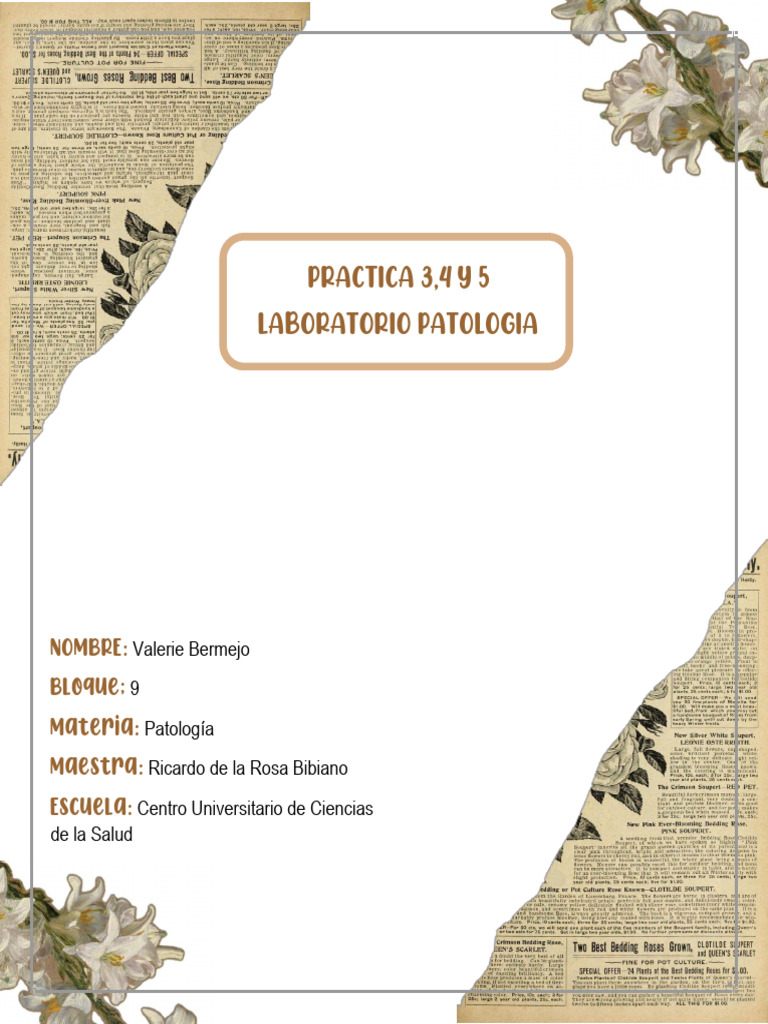 Laboratorio 2 VB | PDF