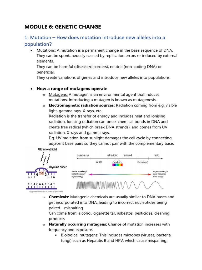 Bio Module 6 - Genetic Change | PDF | Mutation | Gene