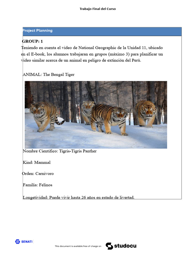 Entregable de Ingles - 1 | PDF