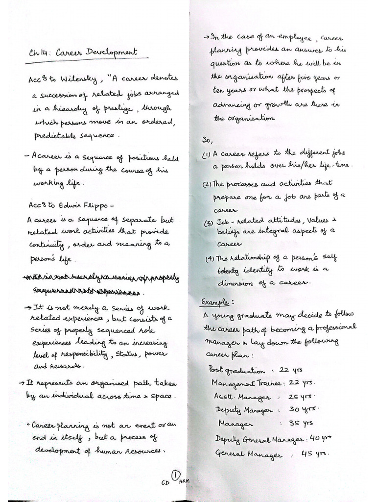 Career Development CH 14 HW | PDF