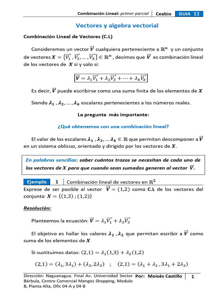 Combinacion Lineal | PDF | Espacio vectorial | Vector Euclidiano