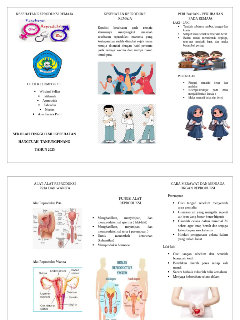 leaflet kesehatan reproduksi | PDF