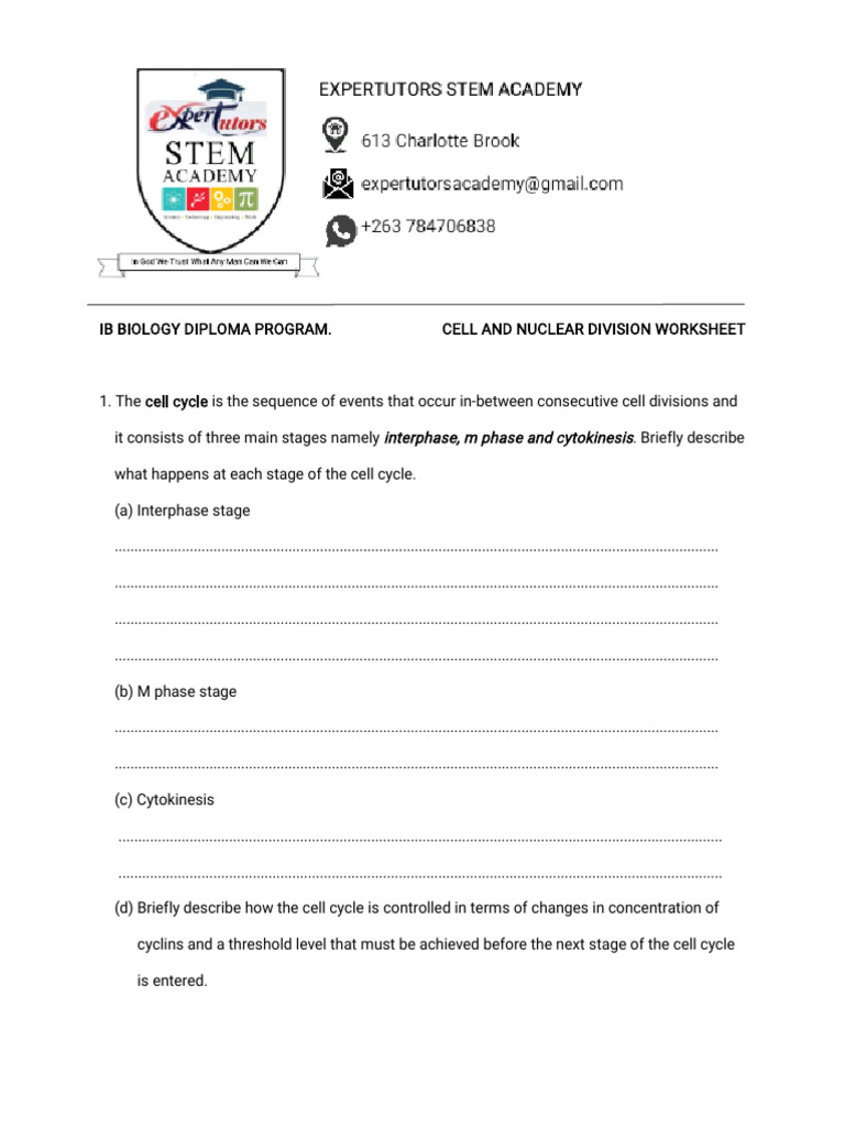 Cell and Nuclear Division Worksheet IB Biology | PDF | Mitosis | Cell Cycle