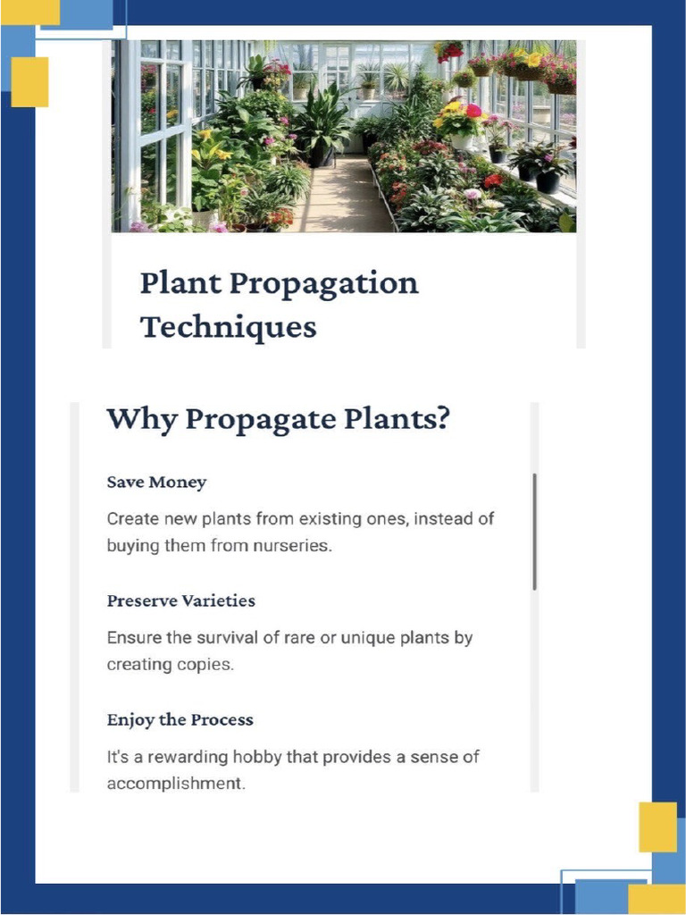 Plant Propagation TLE | PDF