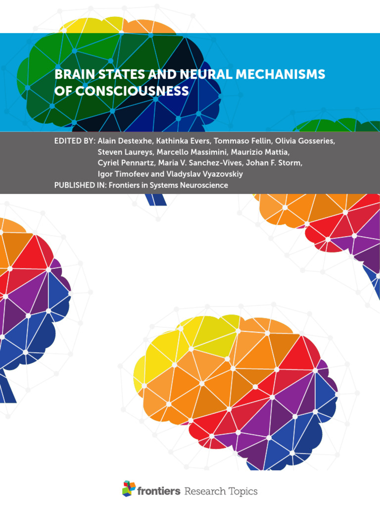 Brain States & Neural Mechanisms of Consciousness | PDF | Frontal Lobe ...