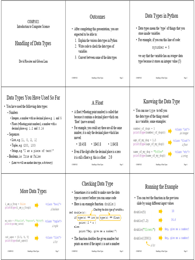Understanding Python Data Types | PDF | Data Type | Integer (Computer Science)