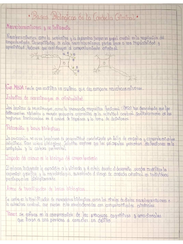 Clase N2 Bases Biologícas | PDF
