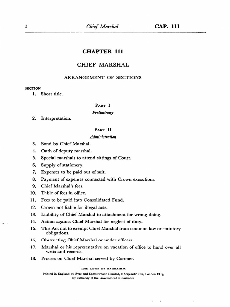 Chief Marshall Cap 111 | PDF | Judgment (Law) | Affidavit