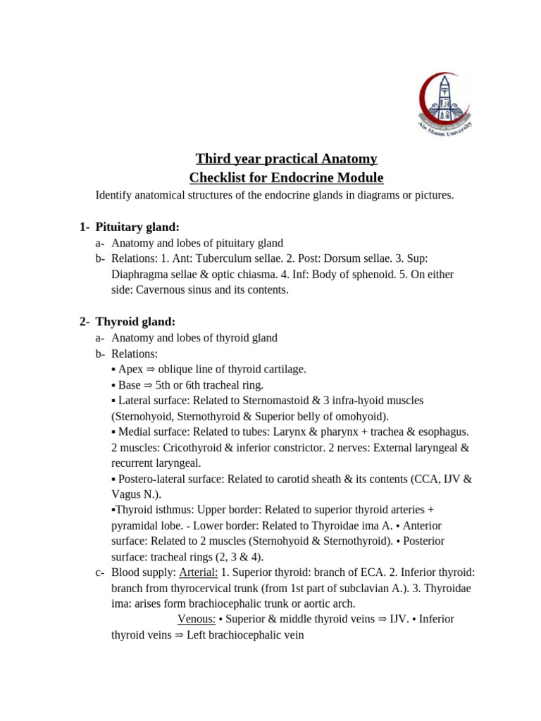 Anatomy Checklist For Endocrine Module | PDF