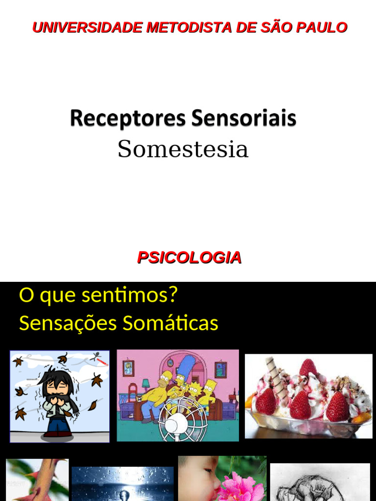 Sensações Somáticas e Receptores Sensoriais | PDF
