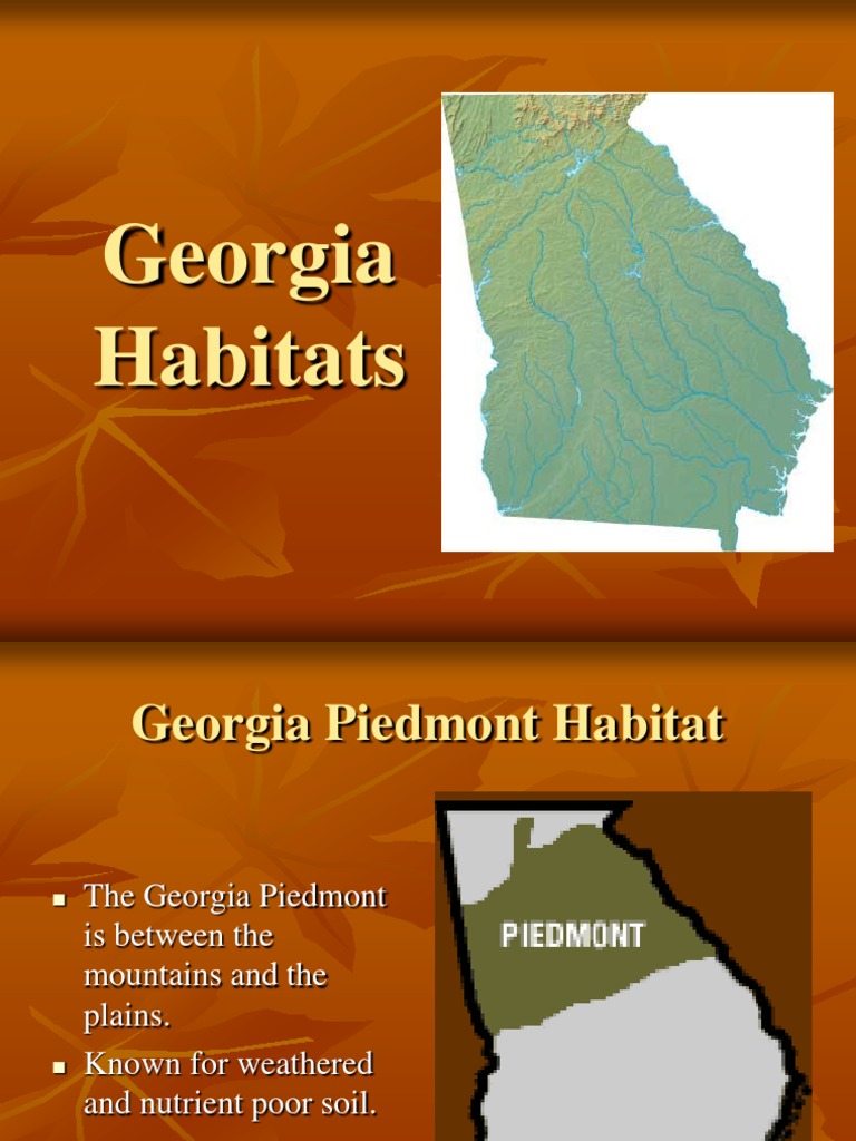 3rd Grade Georgia Habitats | Download Free PDF | Habitat | Oil Spill