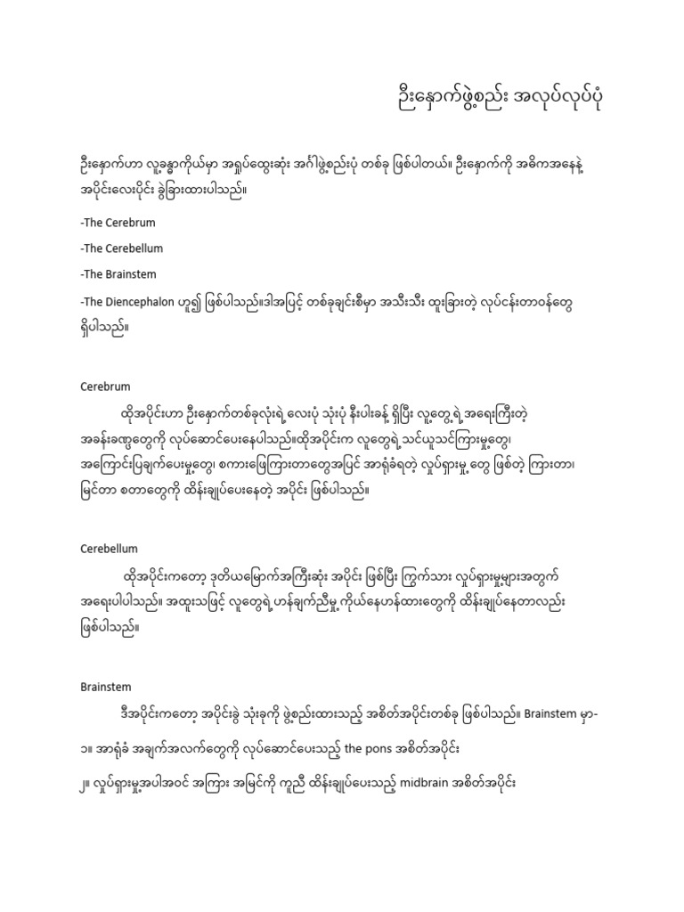 1, Brain Function ECCD Assignment | PDF