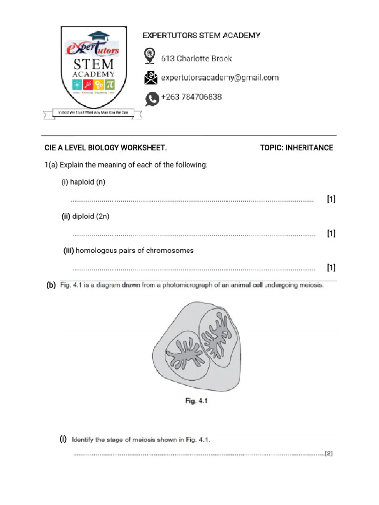 Cie A Level Biology Worksheet Inheritance | PDF