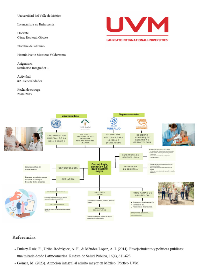 Green Professional Extensive Mind Map Graph PDF | PDF | Gerontología ...