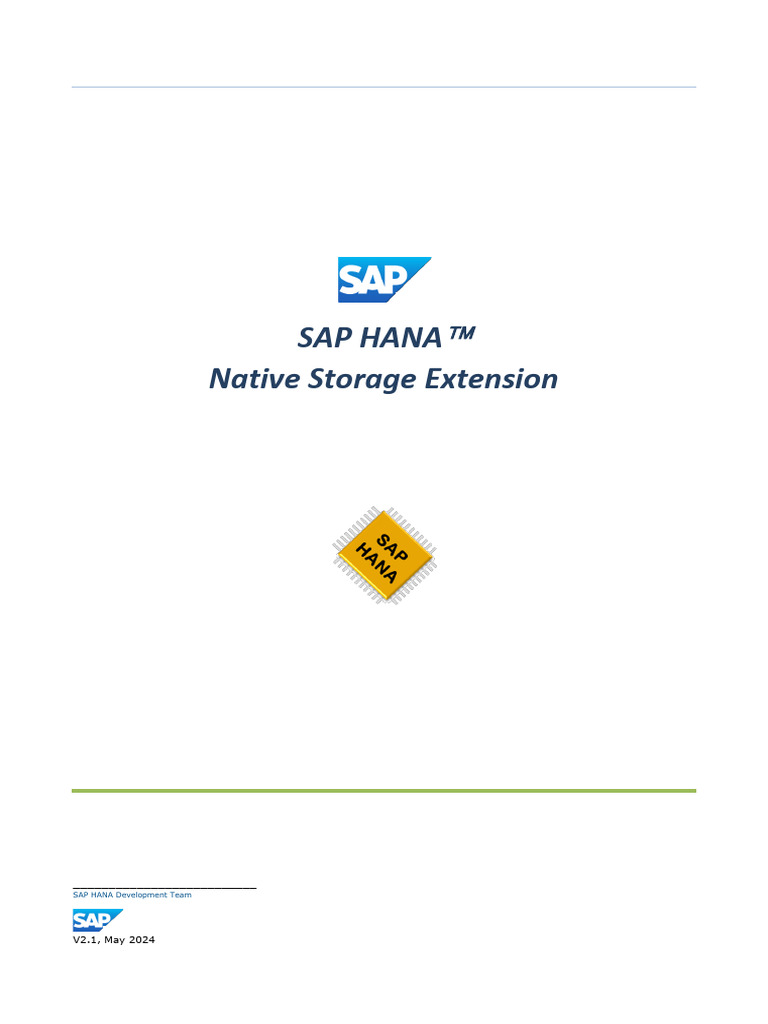 SAP HANA Native Storage Extension Guide | PDF | Cache (Computing ...