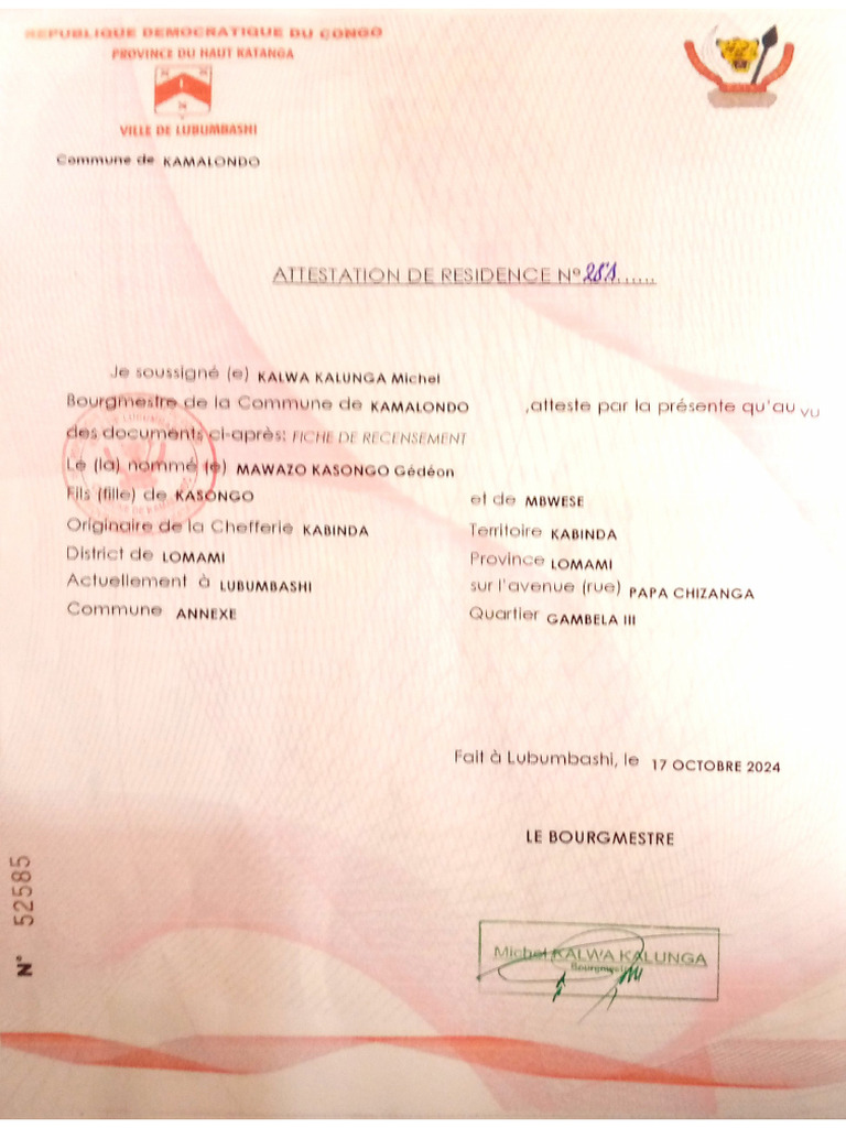 MAWAZO KASONGO 7 | PDF