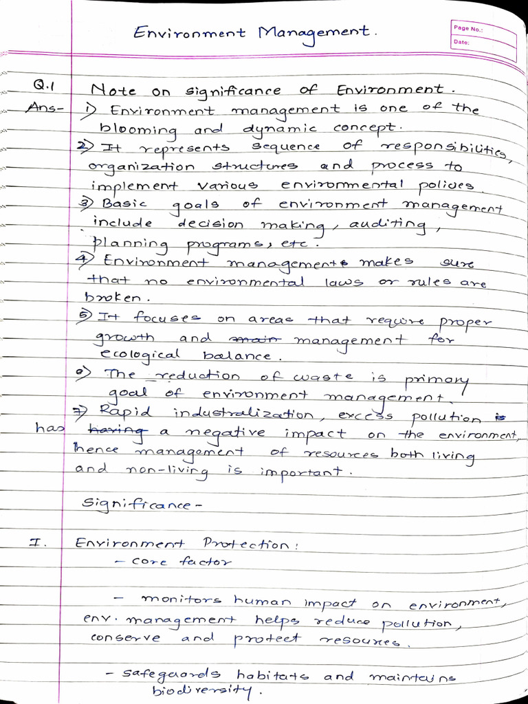 Environment Management | PDF