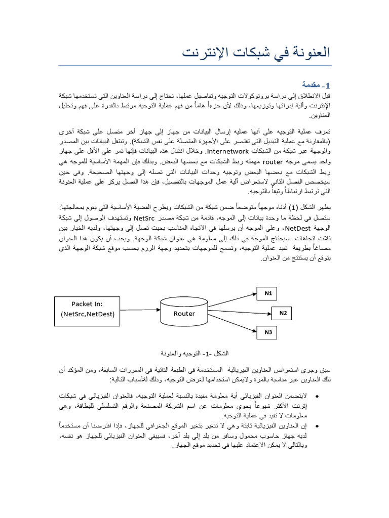 Chap1 Addressing | PDF