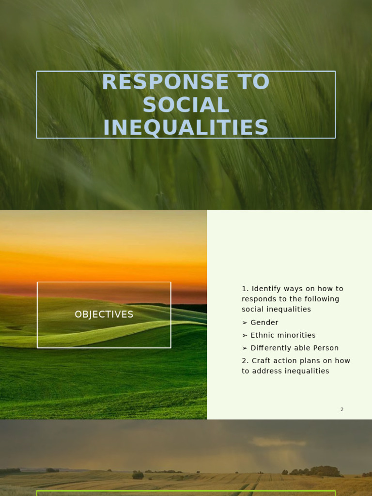 Addressing Social Inequalities Action Plan | PDF | Discrimination ...