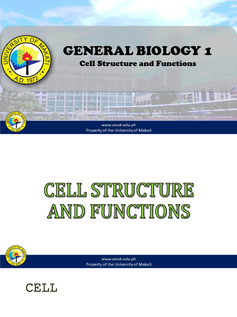 GB1 2 Cell Structures Functions to Cell Modifications | PDF | Cell (Biology) | Endoplasmic Reticulum