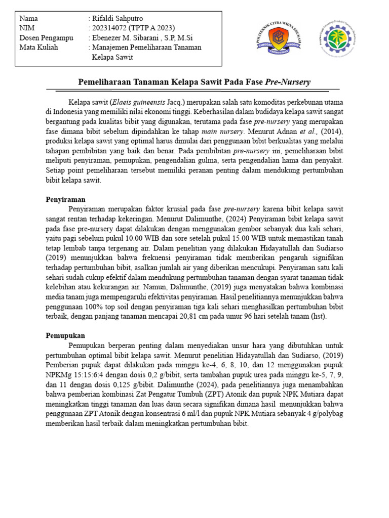 Pemeliharaan Tanaman Kelapa Sawit Pada Fase Pre | PDF