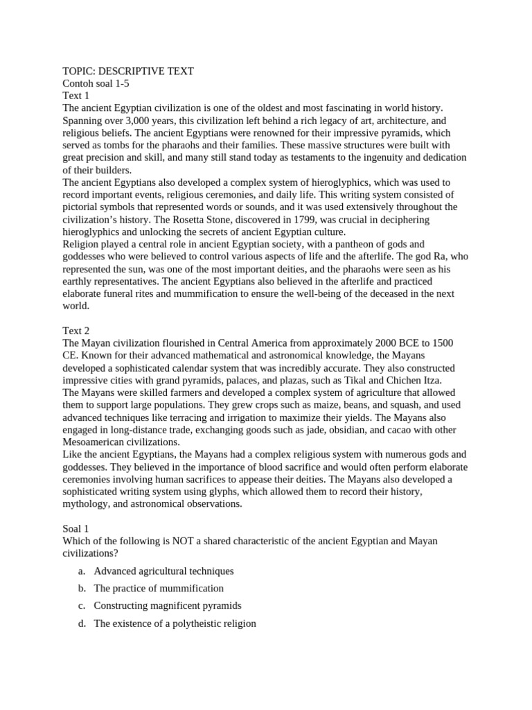 DES TEXT EXERCISES | PDF | Personalized Medicine | Maya Civilization