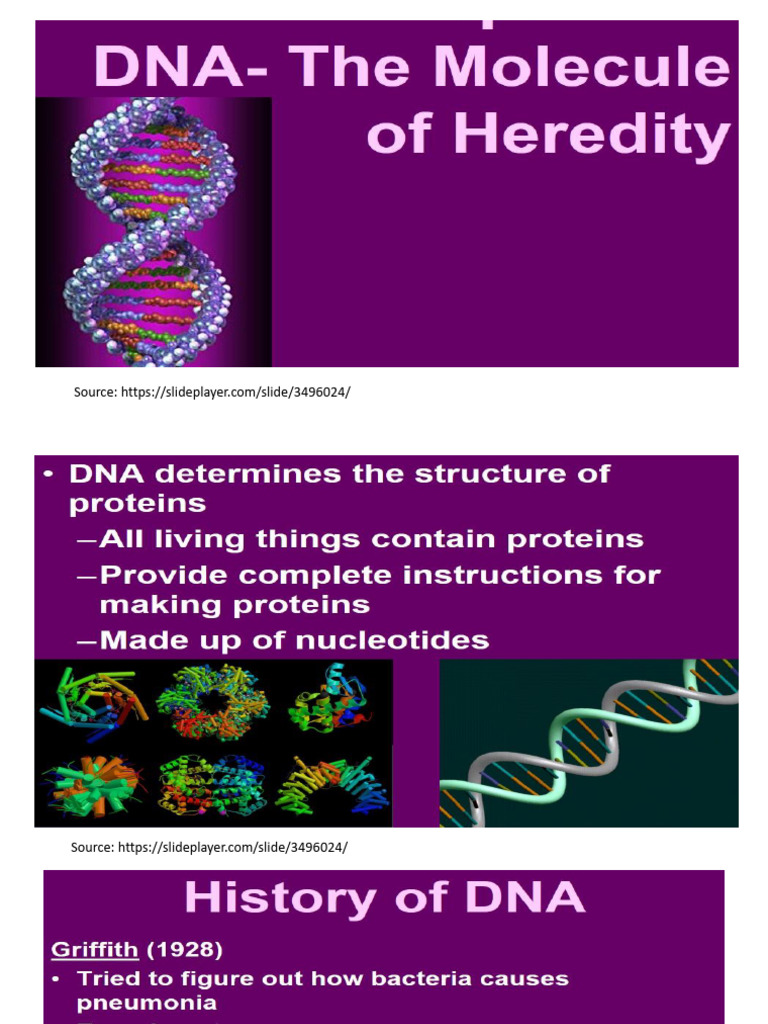 Dna PPT | PDF