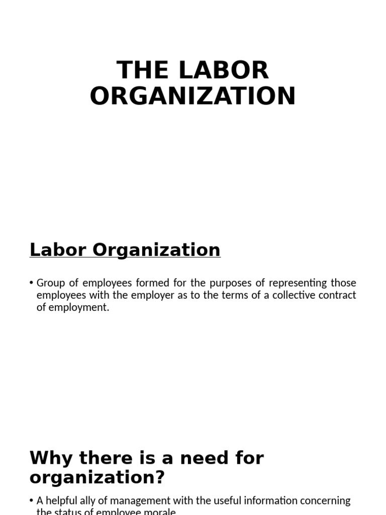 The Labor Organization | PDF | Trade Union | Employment