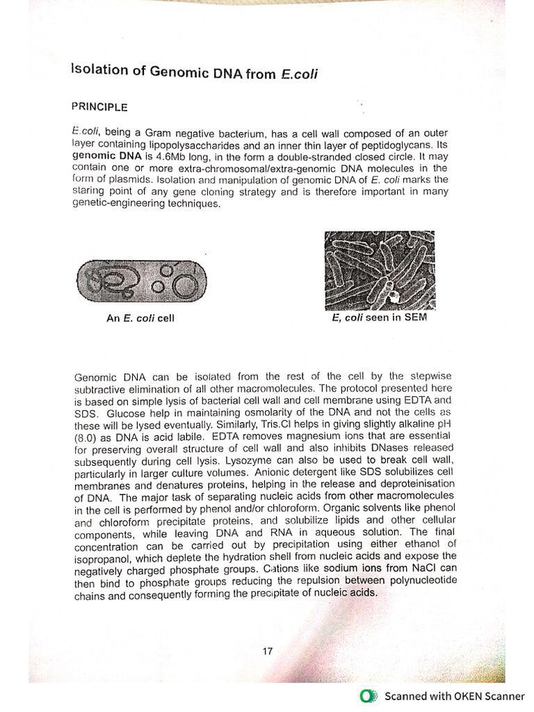 Genomic Isolation | PDF