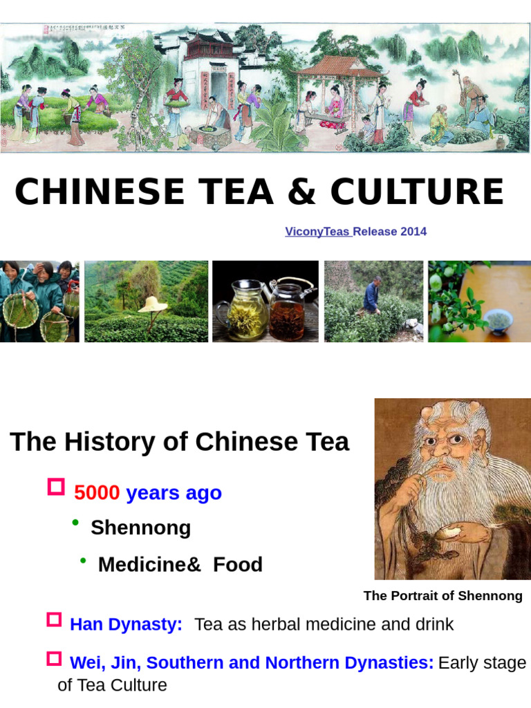 Chinese Tea Culture and History | PDF | Tea | Caffeinated Drinks