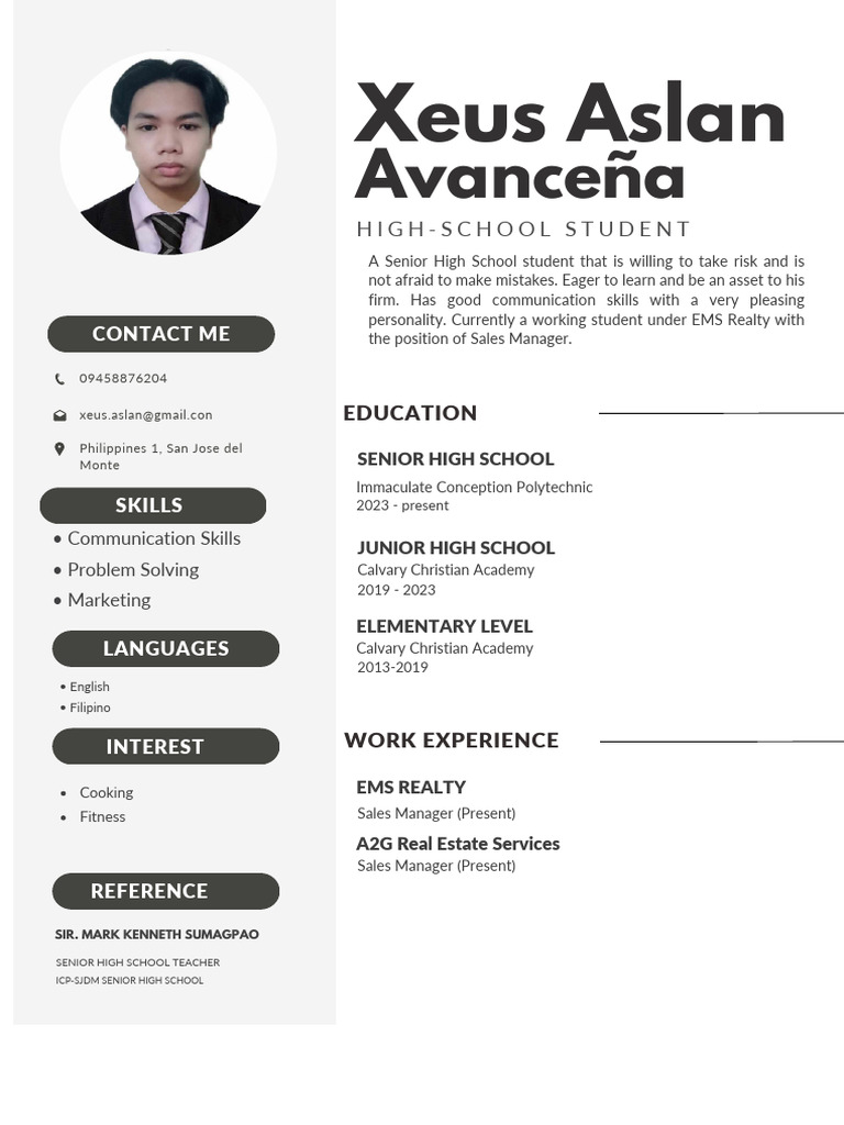 Copy of Professional CV Resume PDF | PDF
