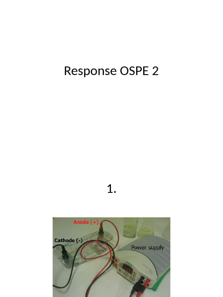 Response OSPE 2 for MBBS Class | PDF | Creatinine | Gel Electrophoresis