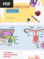 Human Reproductive Systems PowerPoint | PDF | Human Reproduction ...