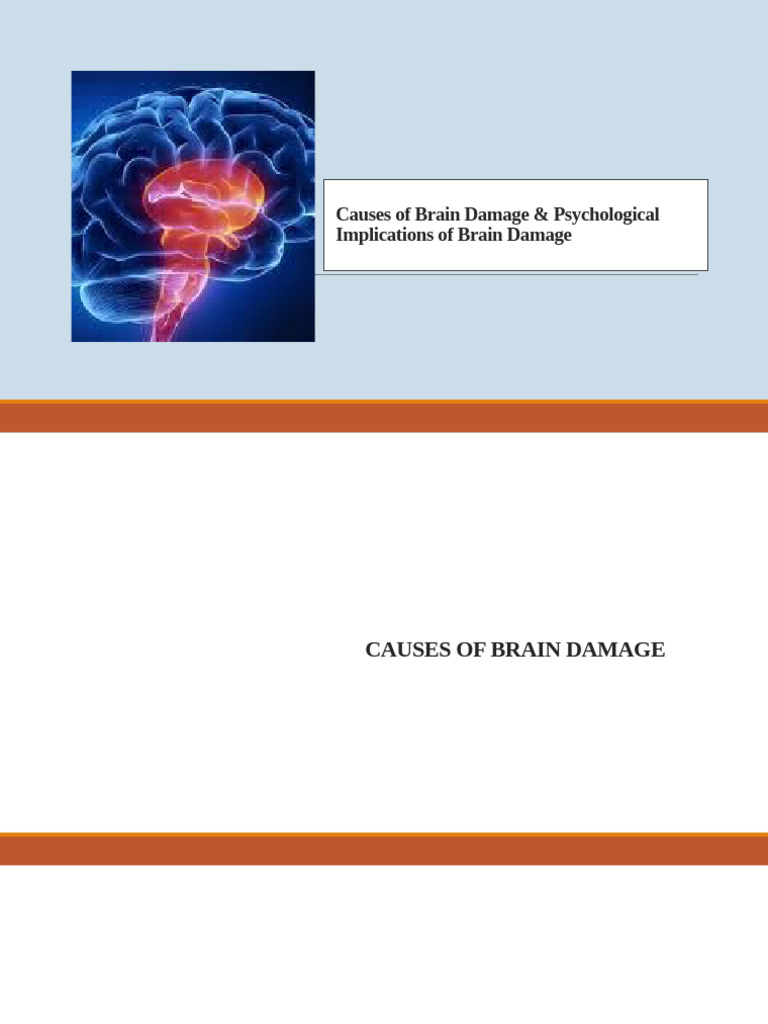 Causes of Brain Damage | PDF | Stroke | Meningitis