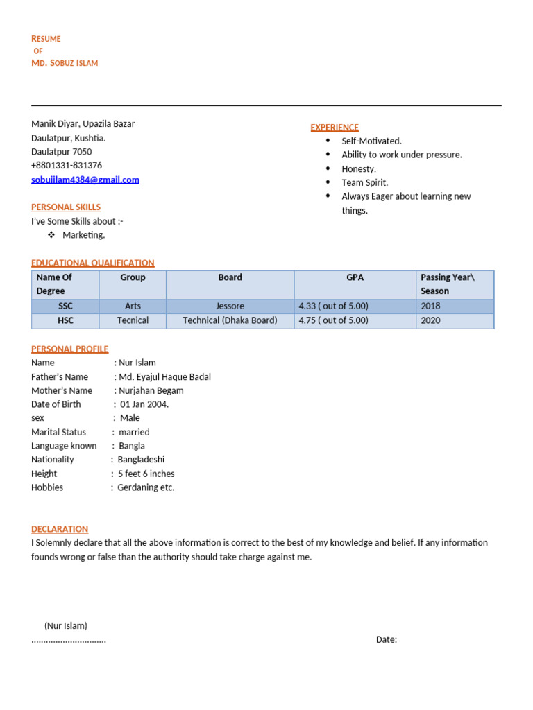 CV Format | PDF