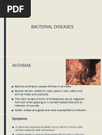 Goat Skeletal Anatomy Overview | PDF | Vertebra | Vertebral Column