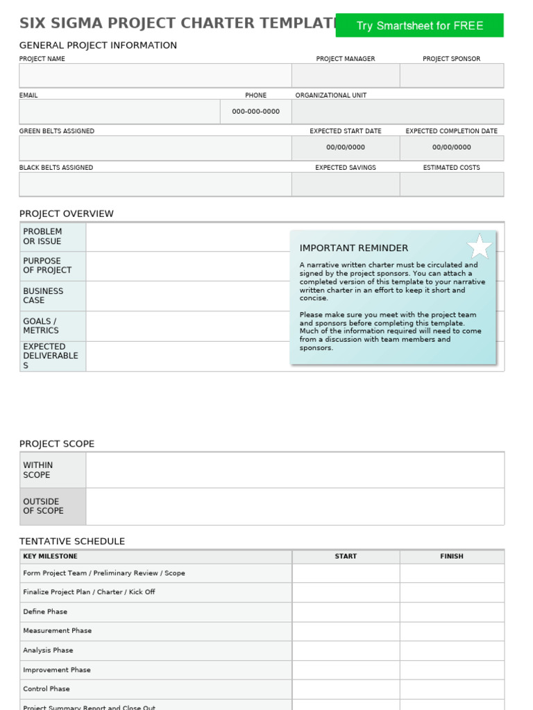 Six Sigma Project Charter Template | PDF | Six Sigma | Reliability ...