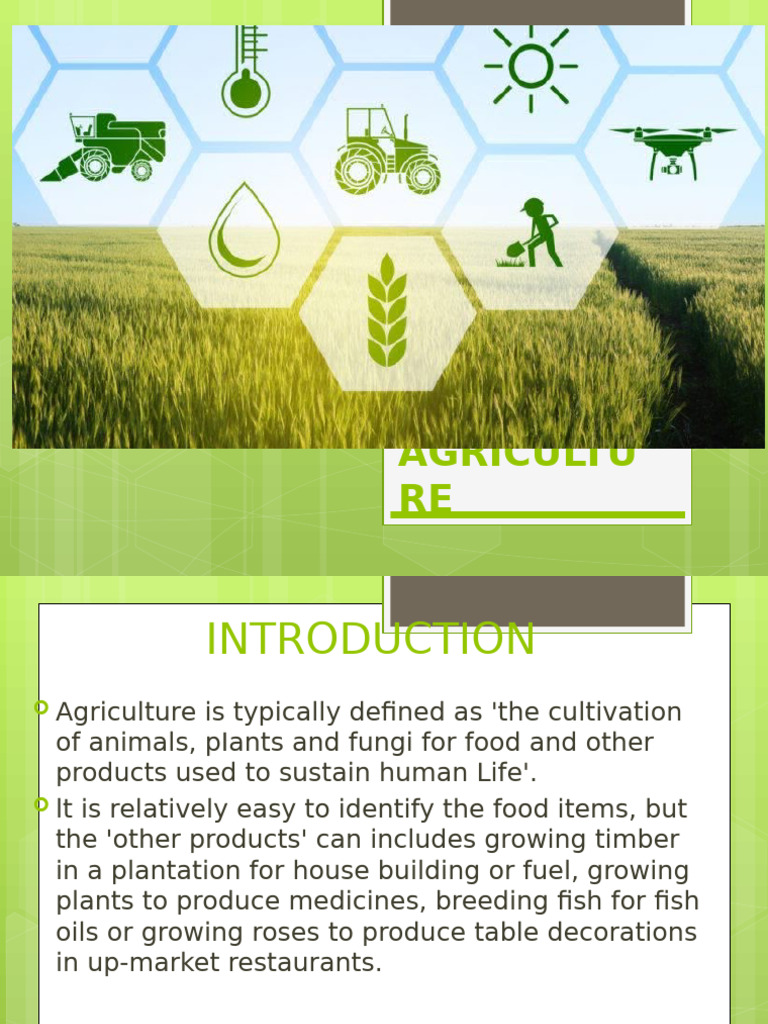 Chapter 3 Ppt 2 Agriculture and Increasing Yields 1 | PDF | Fertilizer | Crop Rotation