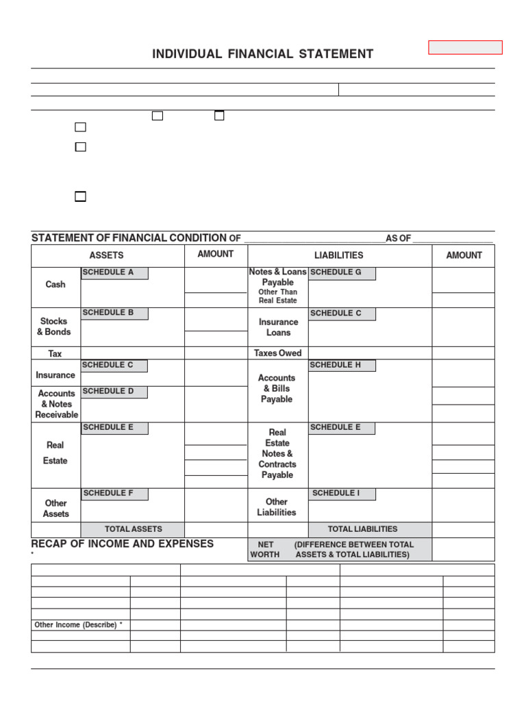 Financial Statement template | PDF | Credit | Finance & Money Management