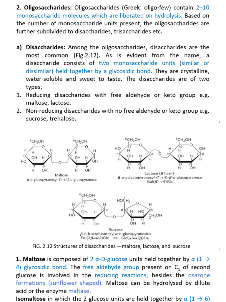 MBL 102 Unit 2 Part 2 | PDF | Polysaccharide | Glucose