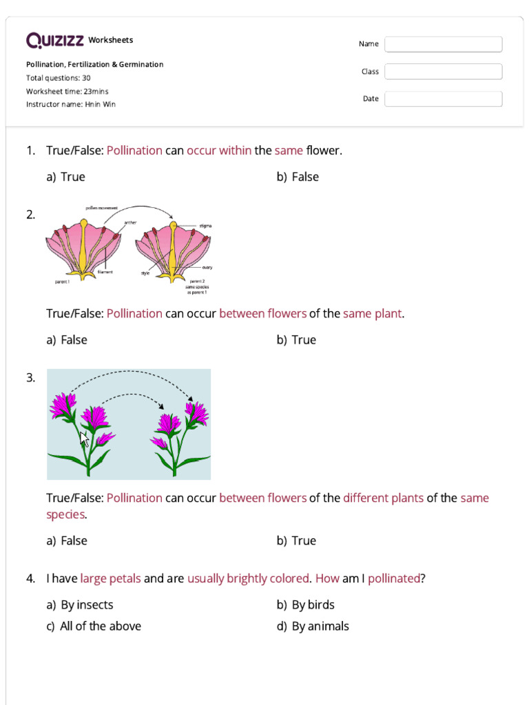 Pollination, Fertilization & Germination - Quizizz | PDF | Flowers | Seed