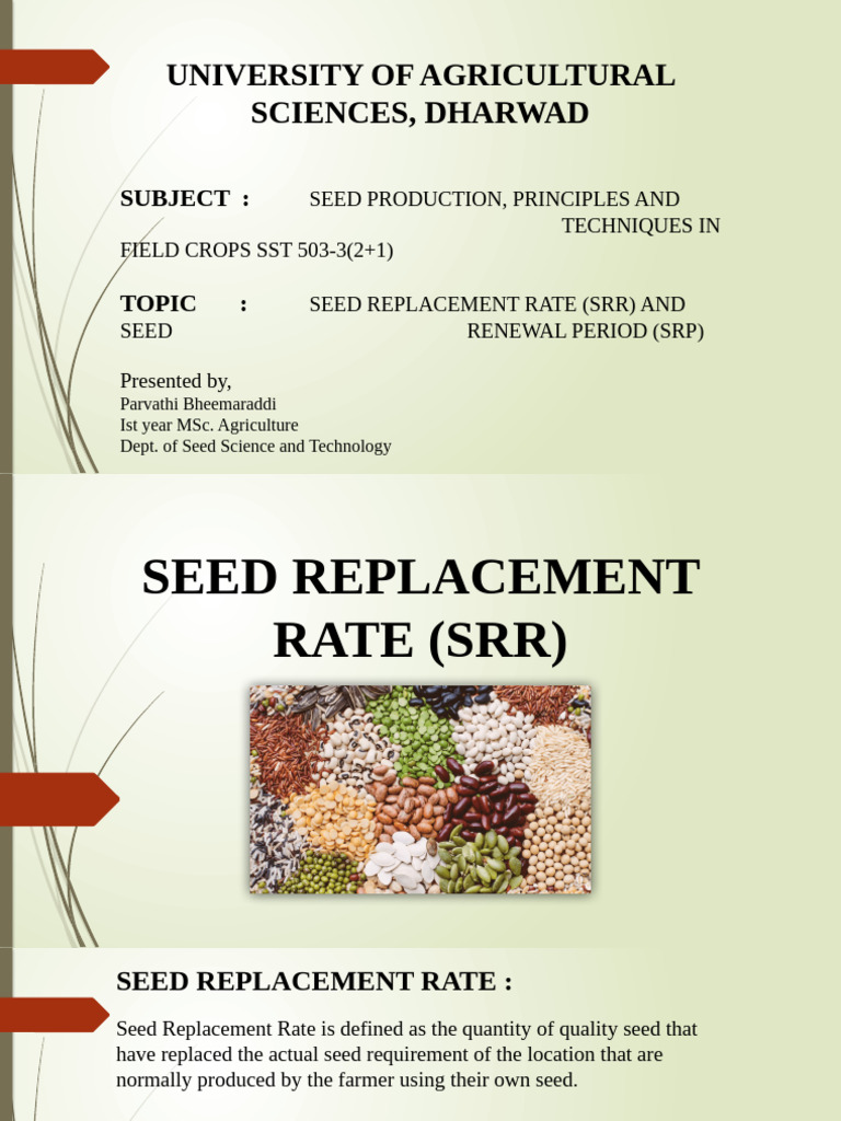Understanding Seed Replacement Rate | PDF | Agriculture | Seed