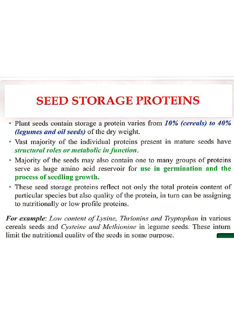 Seed Storage Proteins | PDF