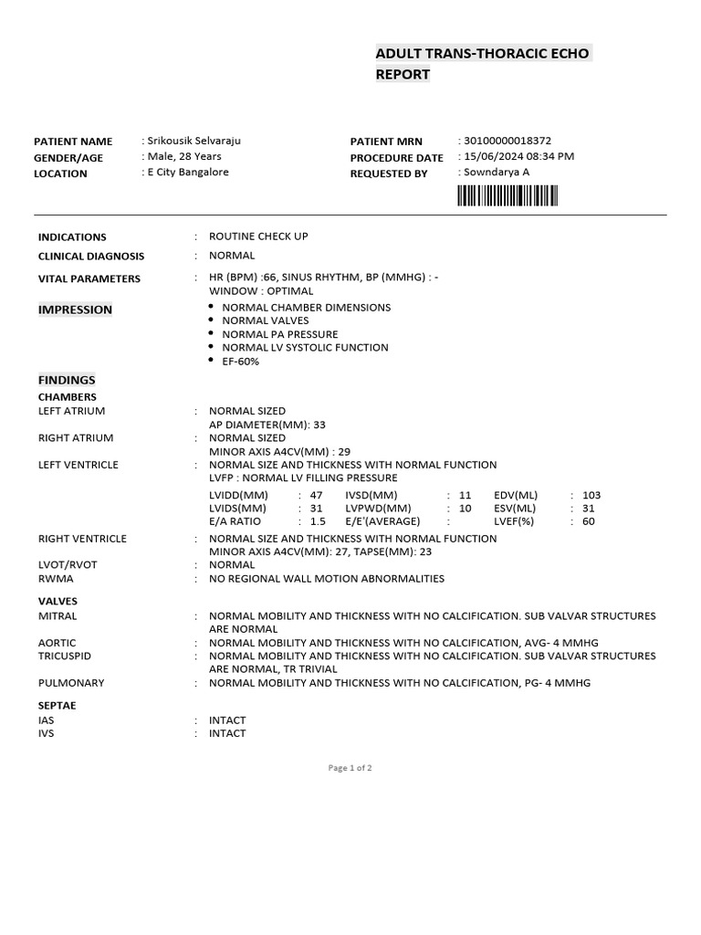 Cache - Adult Echocardiography Report - 1718464145002 | PDF | Ventricle ...