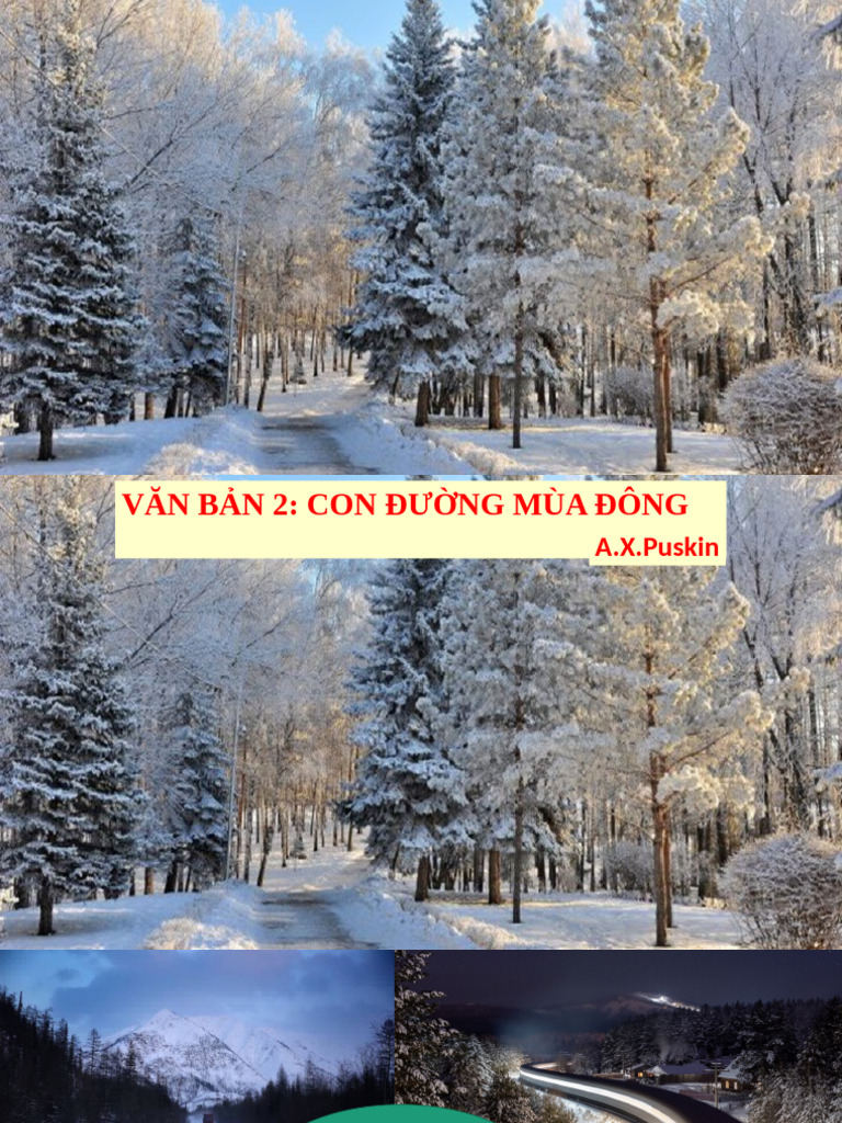 Ppt11 - Bài 2 - Con Đư NG Mùa Đông | PDF